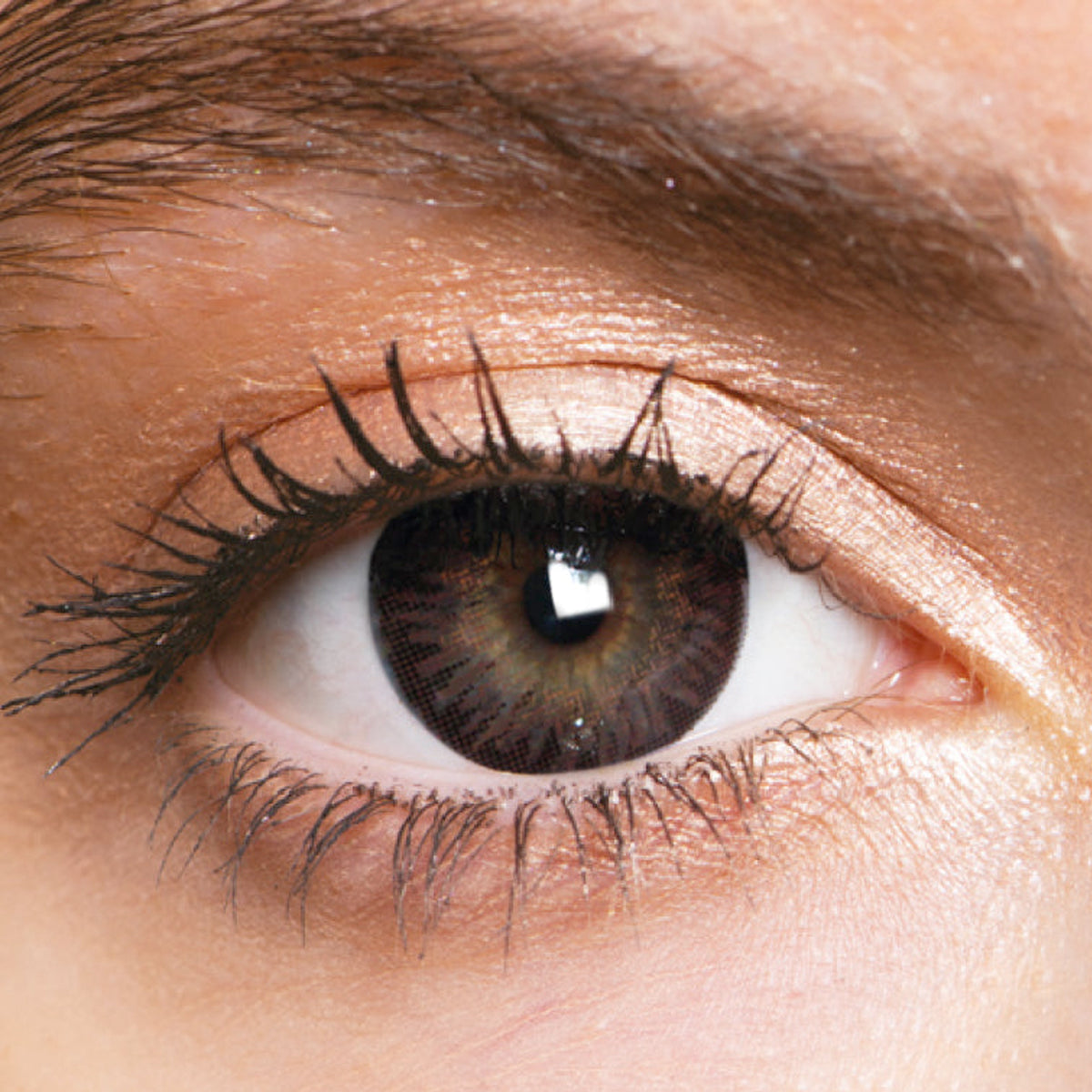 Golden Brown Natural Coloured Contact Lenses Natural Blendz - 3 Month ...